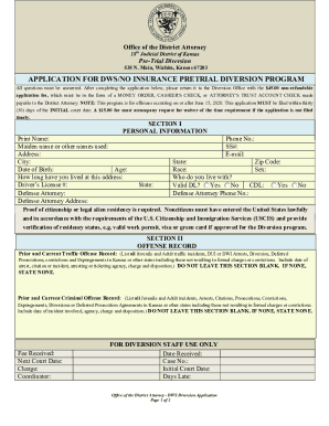 Fillable Online Diversion Application and Financial Statement Form ...