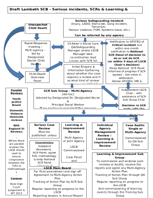 Brighton & Hove Safeguarding Children Board (B&H LSCB) Doc Template ...