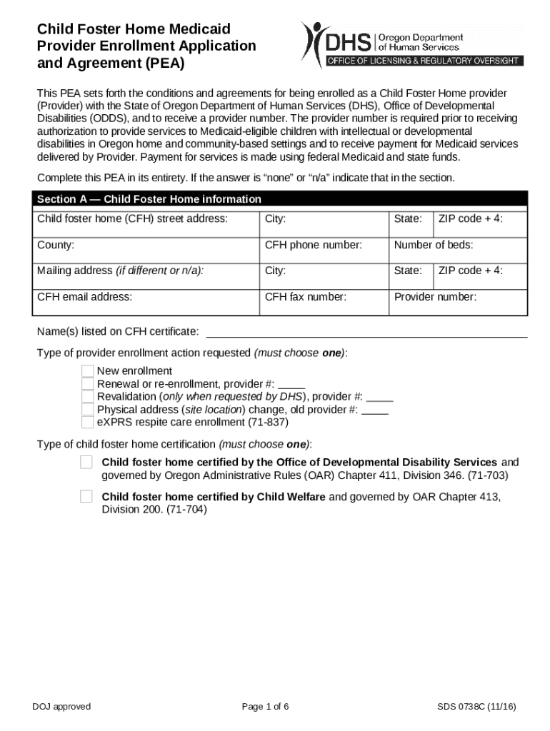 I/DD FOSTER HOMES LICENSING - AFH Provider s Doc Template | pdfFiller