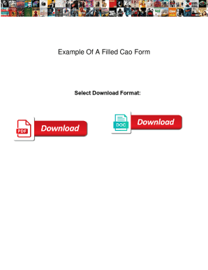 Fillable Online Example Of A Filled Cao Form. Example Of A Filled Cao ...