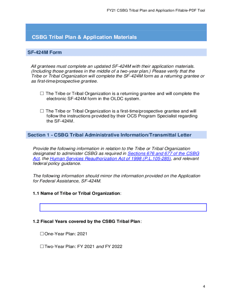 Fillable Online FY21-CSBG-Tribal-Plan-and-Application-Tool-Guide.pdf ...