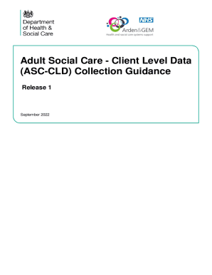 Fillable Online Client-Level Adult Social Care Data (No. 2) - NHS Digital Fax Email Print ...
