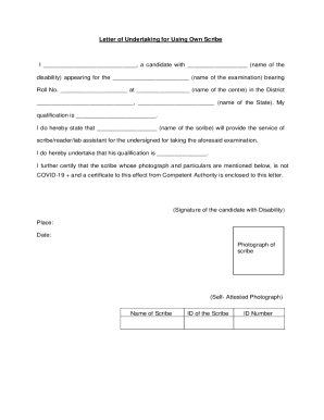 Fillable Online Appendix-III Letter of Undertaking for Using Scribe 1 ...