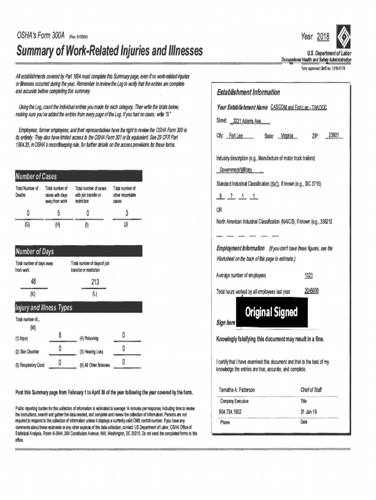 Fillable Online The OSHA FORM 300 LOG OF INJURIES AND ILLNESSES Fax ...