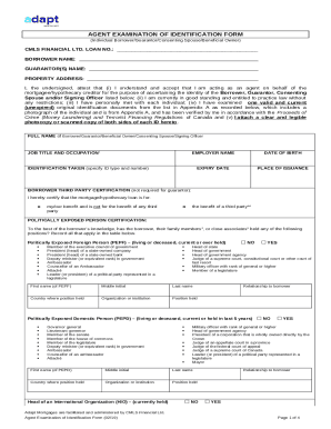 AGENT EXAMINATION OF IDENTIFICATION Doc Template | pdfFiller