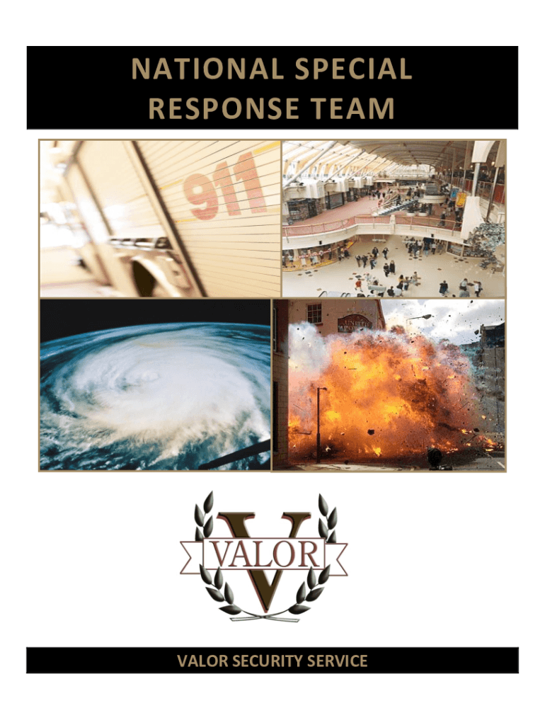 Fillable Online All-Hazards Incident Management Team - Florida Disaster Fax Email Print - pdfFiller