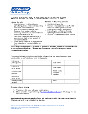 Fillable Online Youth Ambassador Consent Forms - Berks Teens Fax Email Print - pdfFiller