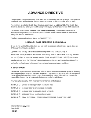 Advance Directive Template Doc Template | pdfFiller