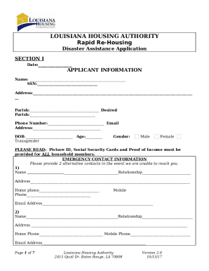 Rapid Re-Housing - National Alliance to End Homelessness Doc Template ...