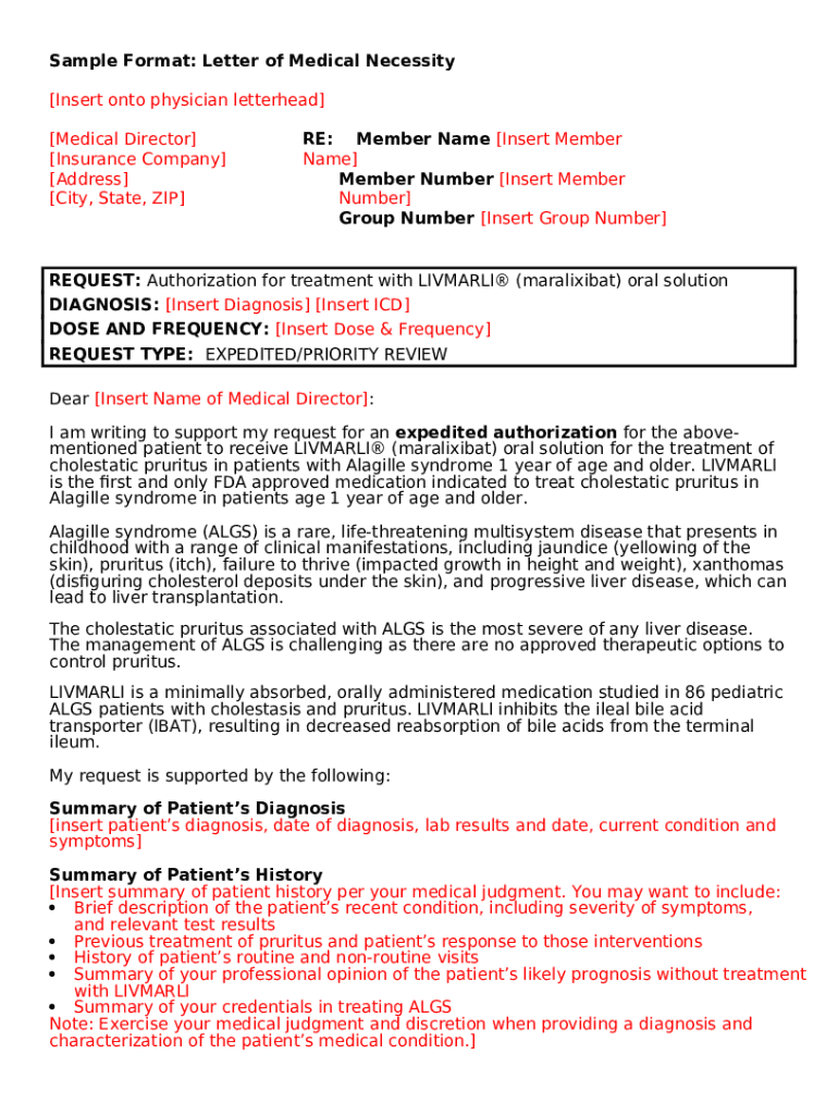 OFFICE LETTERHEAD INCLUDING PROVIDER NAME AND ... Doc Template | pdfFiller