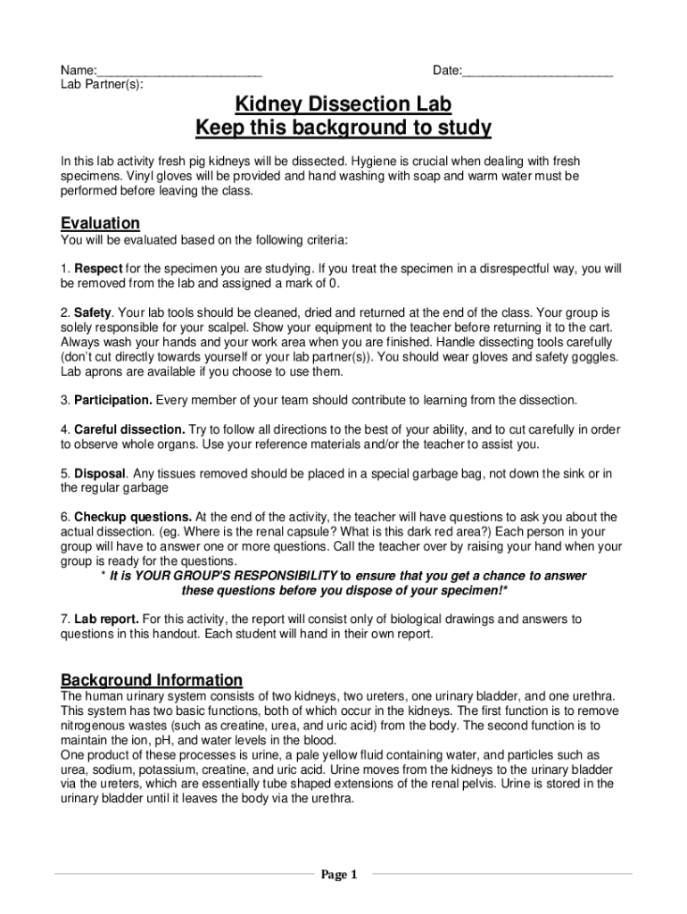 Fillable Online Kidney-Dissection-handout.doc - Name: Lab Partner(s ...