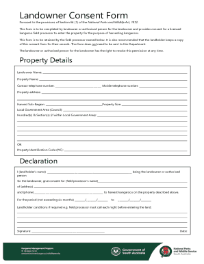 Fillable Online BBL Consent Form - Adam Scheiner, MD Fax Email Print ...