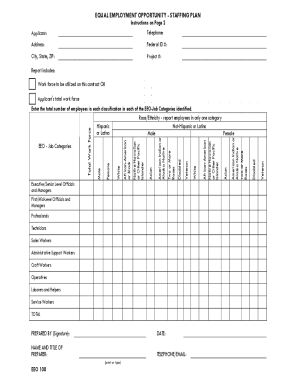 Fillable Online EEO Form 100Centro.org Fax Email Print - pdfFiller