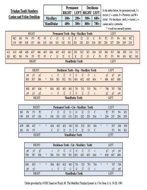 Fillable Online Triadan Tooth Numbers Fax Email Print - pdfFiller