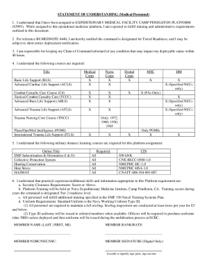 Fillable Online STATEMENT OF UNDERSTANDING (Medical Personnel) Fax Email Print - pdfFiller