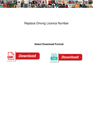 Fillable Online Replace Driving Licence Number. Replace Driving Licence ...