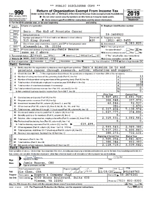 Fillable Online Form 990 (2019) - Statement of Program Service ...