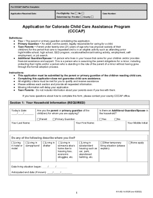Fillable Online CHILD CARE ASSISTANCE (CCAP) APPLICATION ... Fax Email Print - pdfFiller