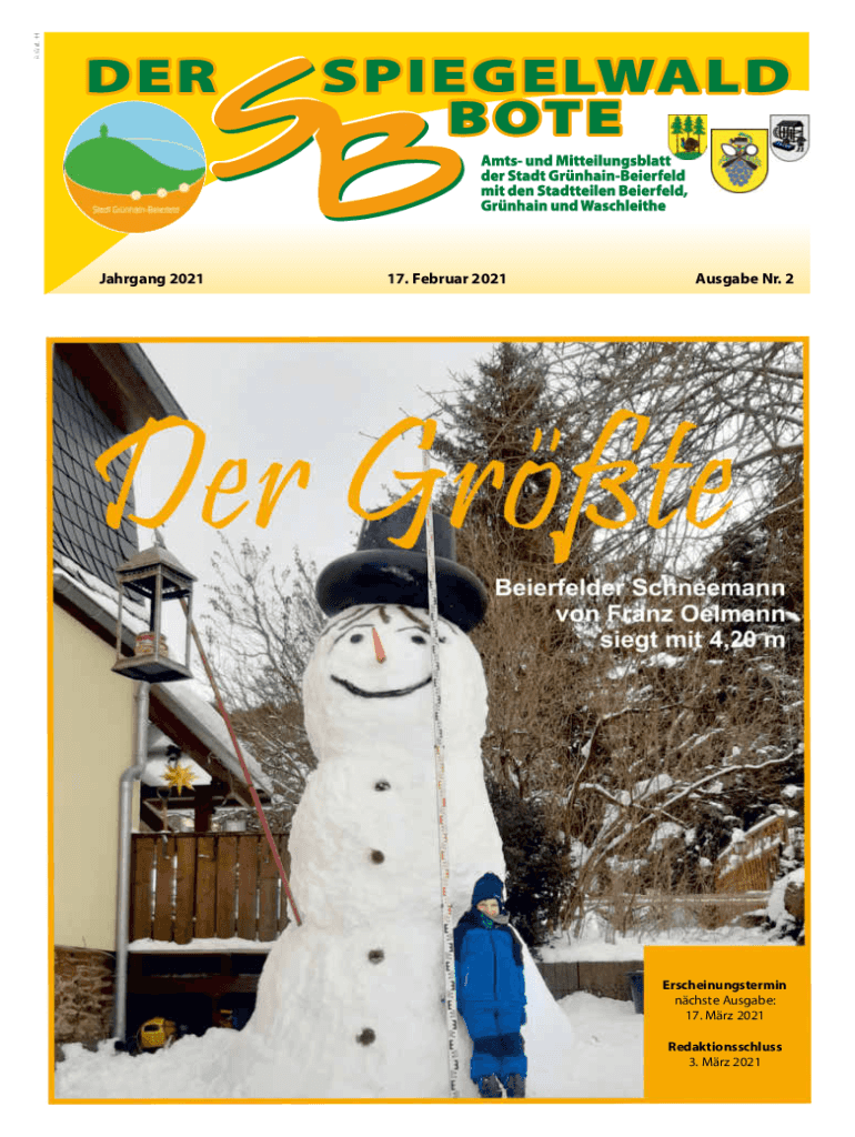 Fillable Online ffentliche Beschlsse der 8 Fax Email Print - pdfFiller