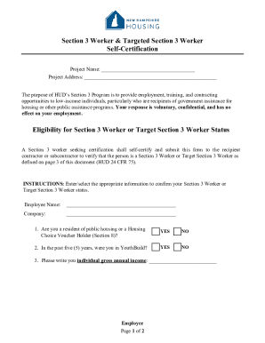 Fillable Online Section 3 Worker & Targeted Section 3 Worker Self ...