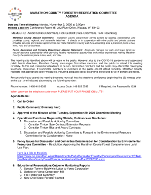 Fillable Online Agenda - Lincoln County, Wisconsin Fax Email Print ...