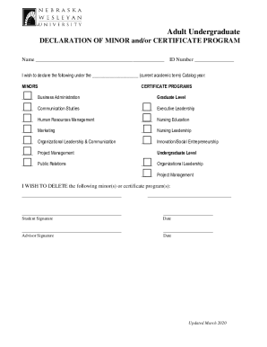 Fillable Online Declare a Major, Minor or Certificate - Hunter College ...