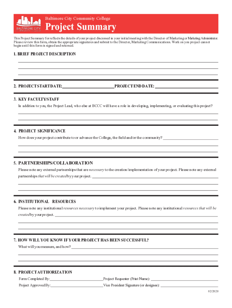 Fillable Online Fillable Project Summary Form.docx Fax Email Print ...