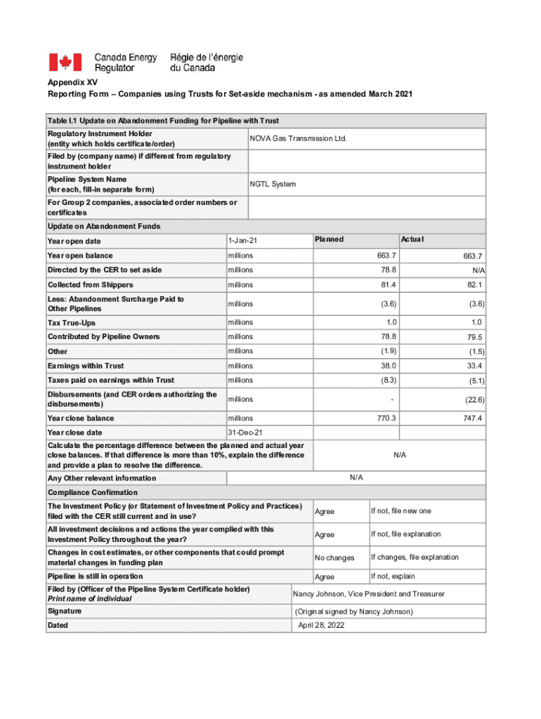 Fillable Online 2021 CER Reporting Form NGTL (04-04-22) input.xlsx Fax Email Print - pdfFiller