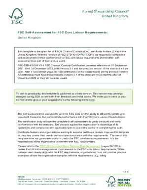 Fillable Online National self-assessment template (FSC Core Labour ...