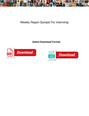 Fillable Online Weekly Report Sample For Internship. Weekly Report ...