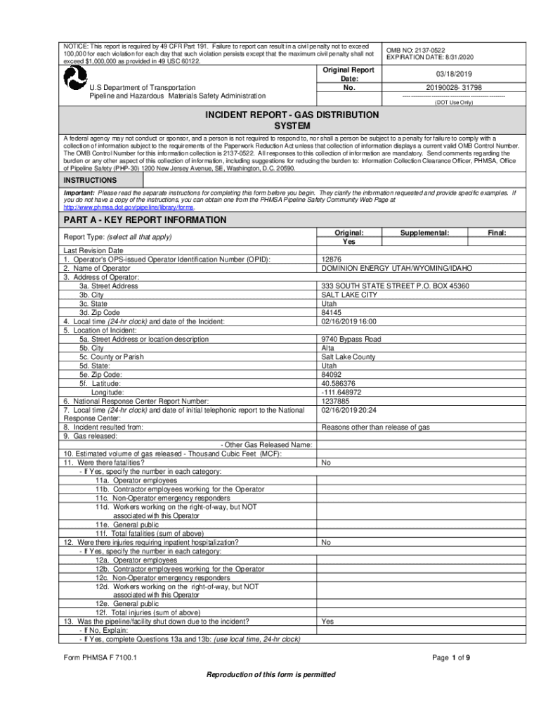 Fillable Online INCIDENT REPORT - GAS DISTRIBUTION Fax Email Print - pdfFiller