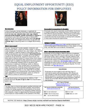 Fillable Online EQUAL EMPLOYMENT OPPORTUNITY (EEO) Fax Email Print ...