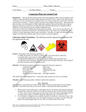 Color Coded Cells Worksheet Answers - Fill Online, Printable, Fillable ...