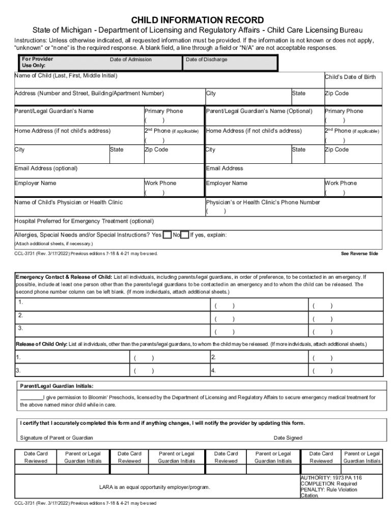 Michigan Child Information Record - Blank Fillable Template | Fill Out ...