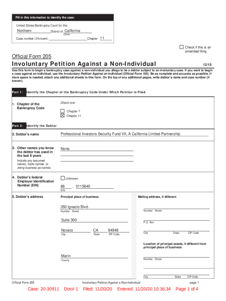 Fillable Online Involuntary Petition Against A Non-Individual B205 ...