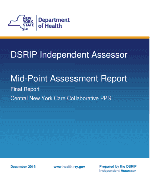 Fillable Online DSRIP Independent Assessor Mid-Point Assessment Report ...