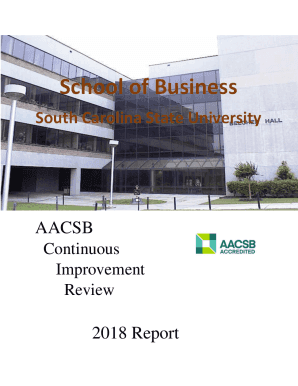 Fillable Online CIR Report Template Fax Email Print - pdfFiller