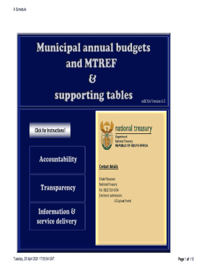 Fillable Online Budget format template - Emalahleni Local Municipality ...
