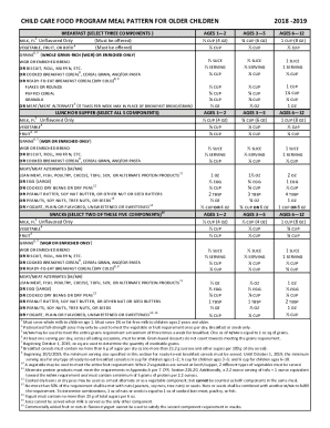 Fillable Online CHILD CARE FOOD PROGRAM - Florida Department of Health ...