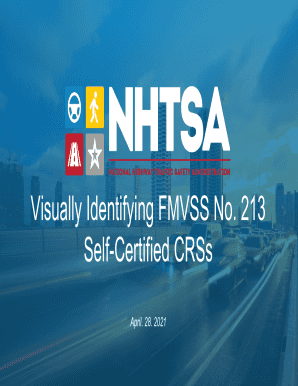 Fillable Online Federal Motor Vehicle Safety Standard No. 213 ...