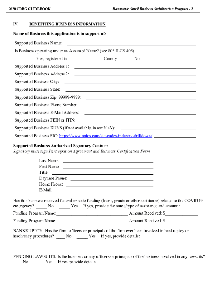 Fillable Online DOWNSTATE SMALL BUSINESS STABILIZATION PROGRAM Pre ...