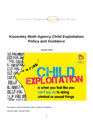 Children's Safeguarding Services: Team SHIELD ... Doc Template | pdfFiller