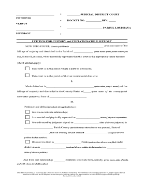 Fillable Online SRL Petition for Custody, Visitation, and-or Child ...