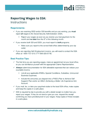 Fillable Online WAGE REPORTING FACT SHEETNational Disability Institute ...