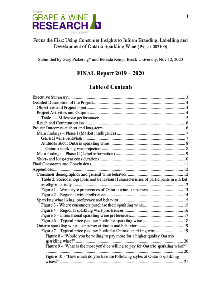 Fillable Online Focus the Fizz: Using consumer insights to inform ...