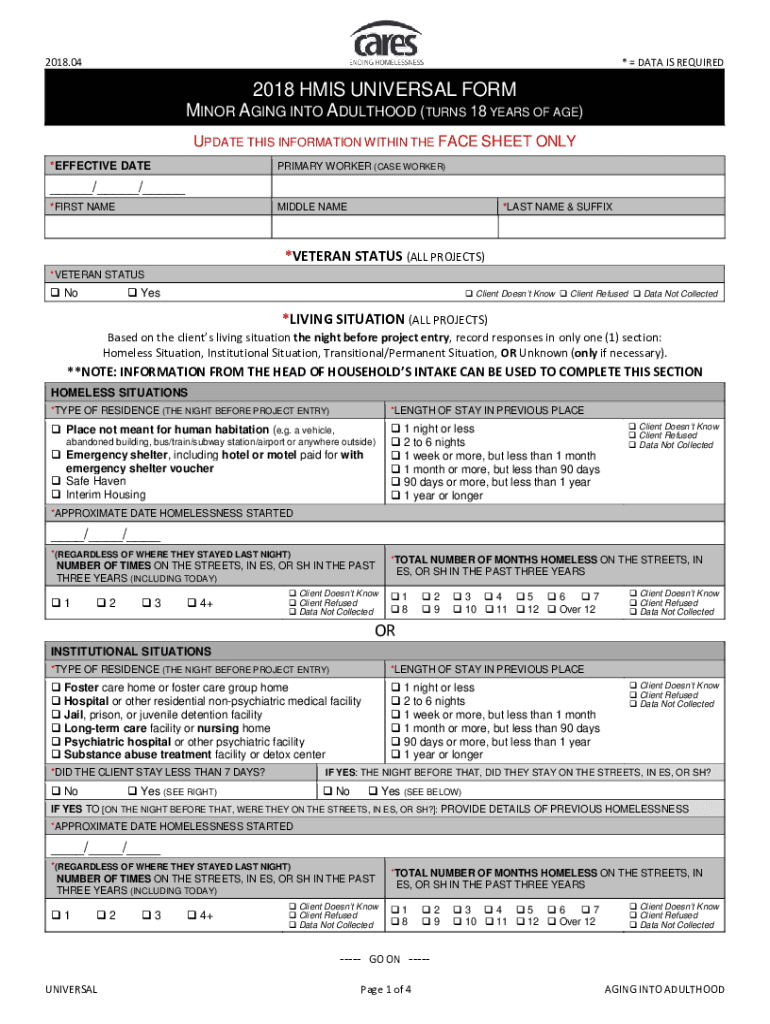 Fillable Online Universal HMIS Youth Aging into Adulthood Form. CARES ...