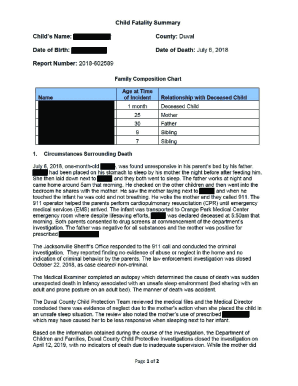 Fillable Online Child Fatality Summary Child's Name: County: Duval Date ...