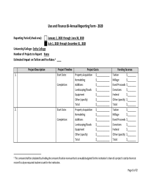 Fillable Online Use and Finance Bi-Annual Reporting Form - 2020 Fax Email Print - pdfFiller