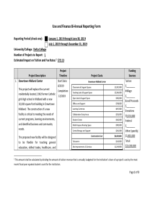 Fillable Online Use and Finance Bi-Annual Reporting Form - 2021 Fax ...
