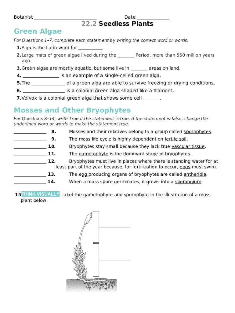 22.2 Seedless Plants wk (1) - THINK VISUALLY Name Class... Doc Template ...